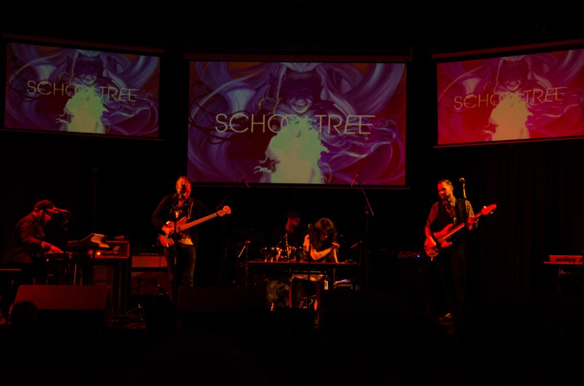 Lainey Schooltree launches Patreon – Proglodytes